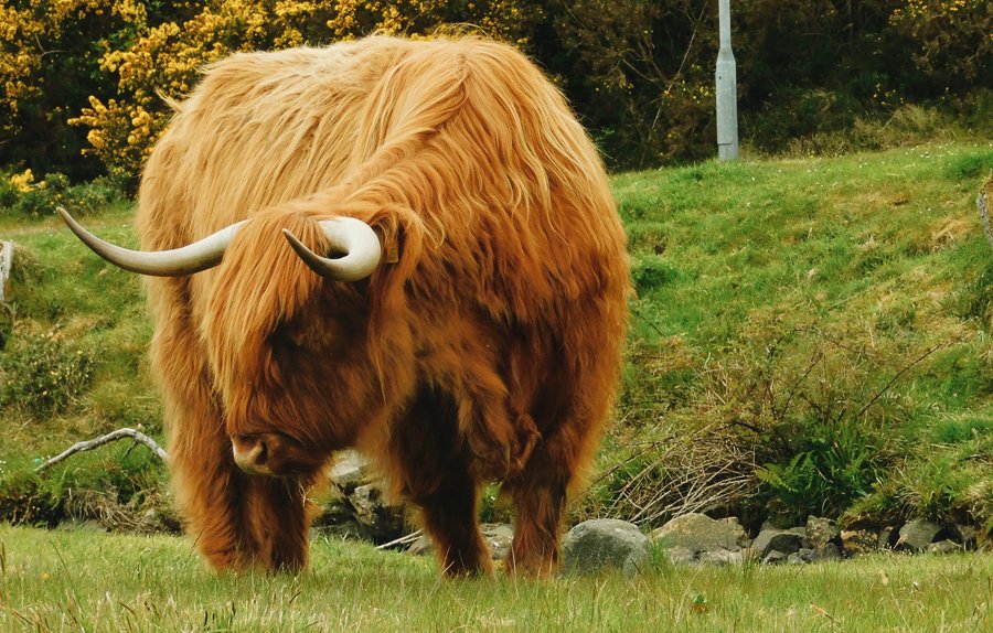 Highlands, île de Skye et Édimbourg, randonnée liberté en Écosse